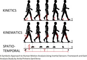 Engineering at Alberta Courses » Gait analysis