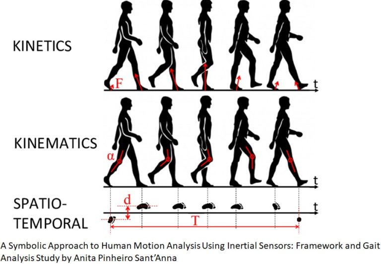 Engineering at Alberta Courses » Gait analysis