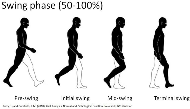 Engineering at Alberta Courses » Gait analysis