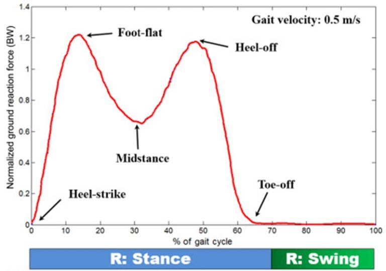 Engineering at Alberta Courses » Gait analysis