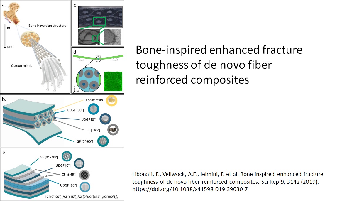 Engineering at Alberta Courses » Viscoelastic properties and nonlinear behaviour